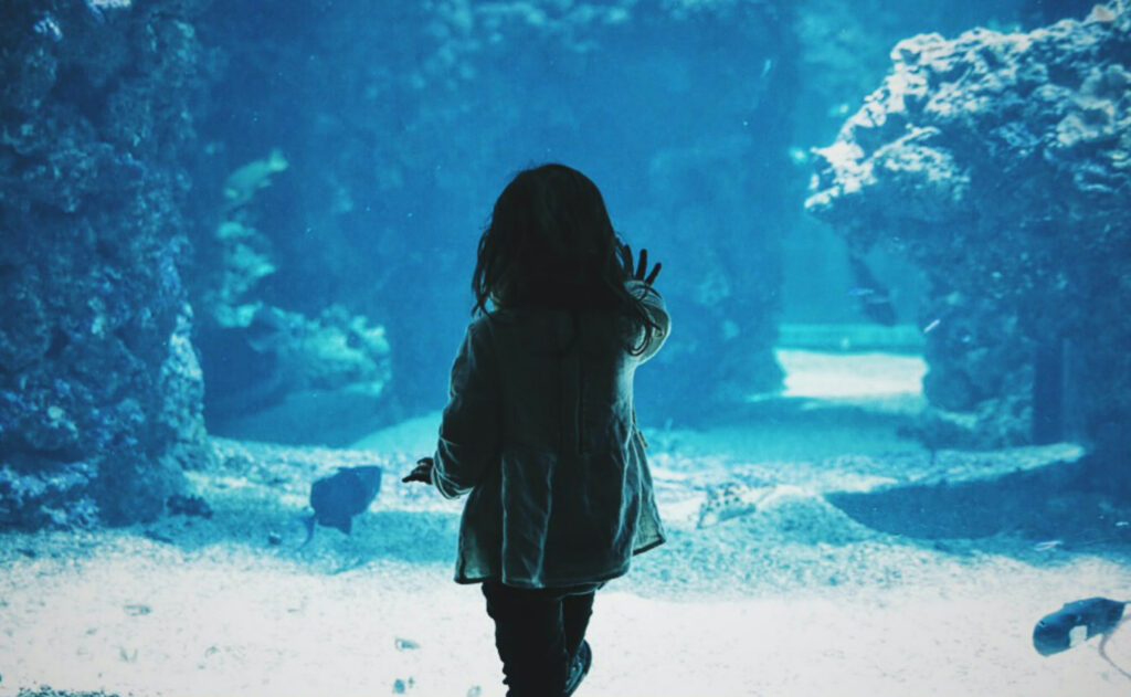 Powerful Pause Meditation: Calming Nerves for Young Performers | Spotlight