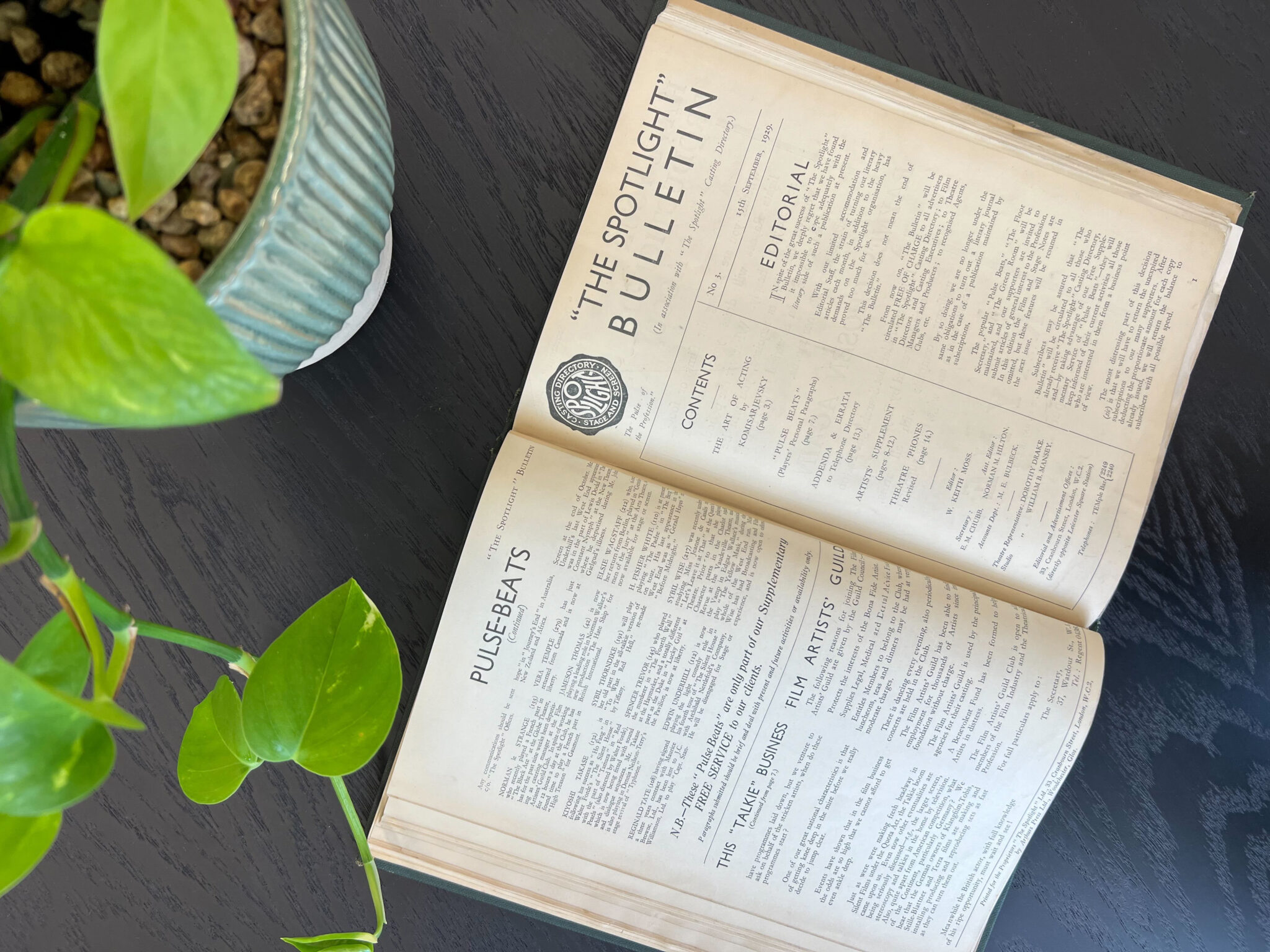 An Update From Our Managing Director | Spotlight